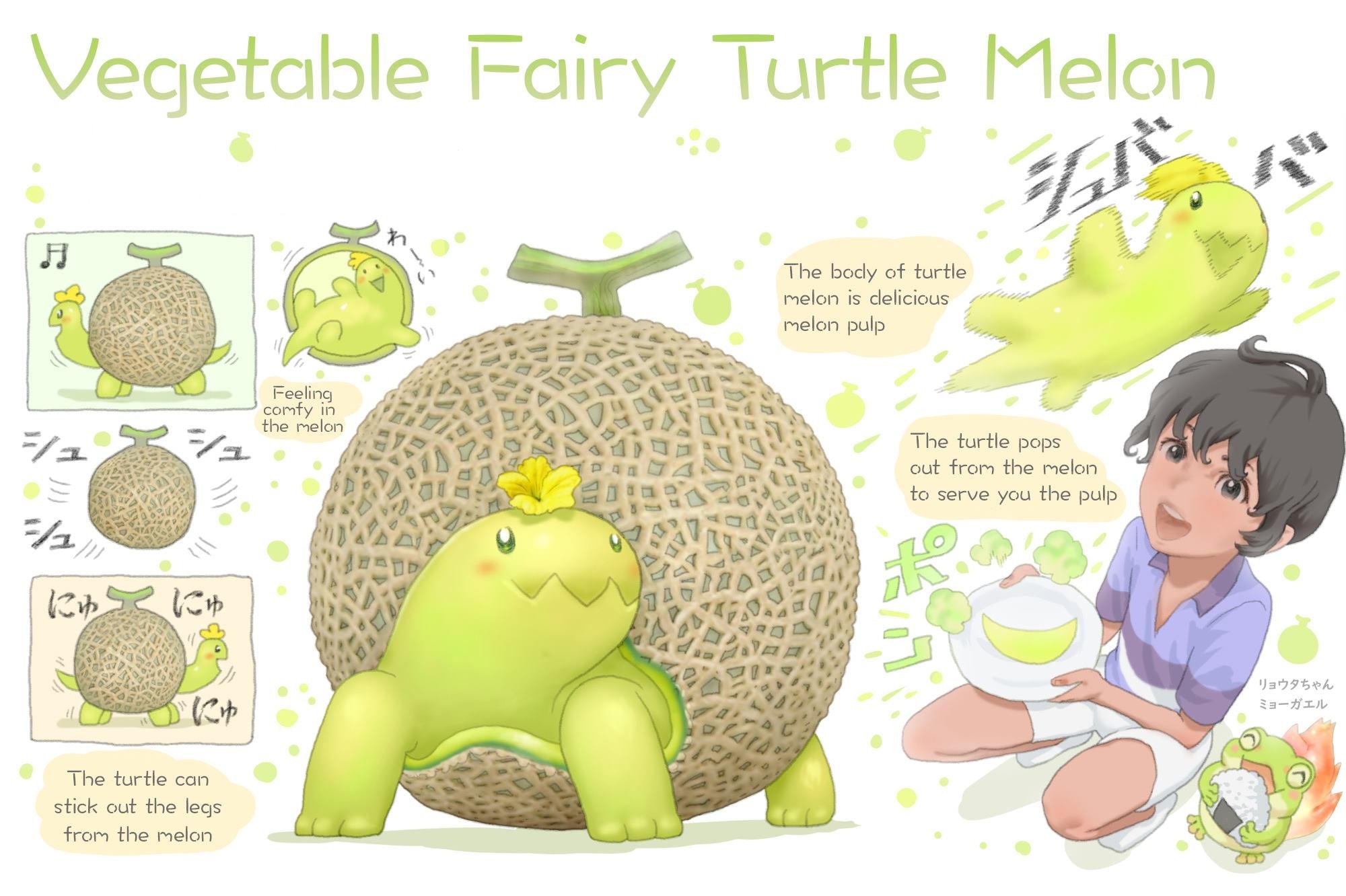 Taurus Workshop [Vegetables Fairy] - Turtle Melon – Primo Collectibles