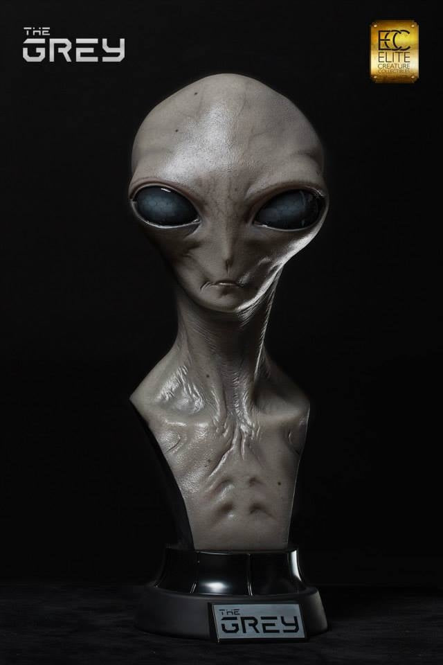 Elite Creature Collectibles - The Grey Life Size Bust – Primo Collectibles