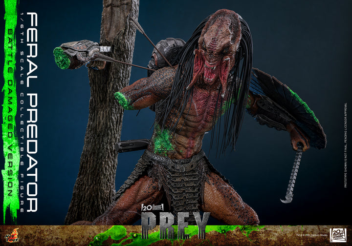 Hot Toys - TMS173 - Prey - 1/6th scale Feral Predator (Battle Damaged ...